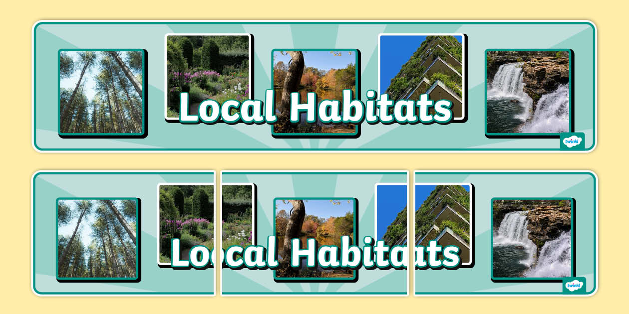 Local Habitats Photo Display Banner (Teacher-Made) - Twinkl