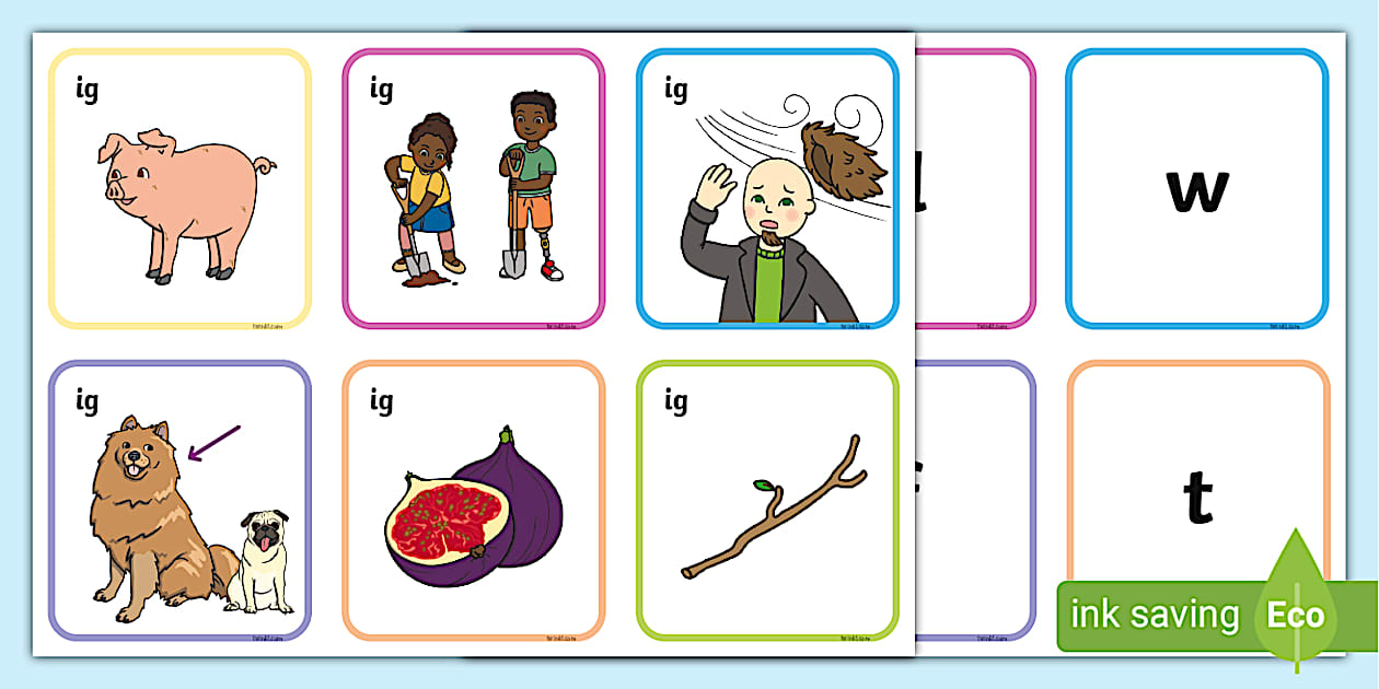 'ig' Words and Picture Matching Activity - Twinkl