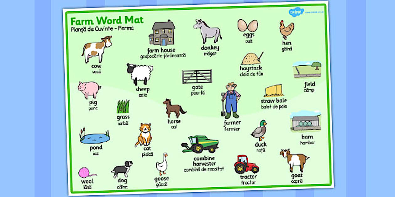 On the Farm Word Mat Romanian Translation (teacher made)