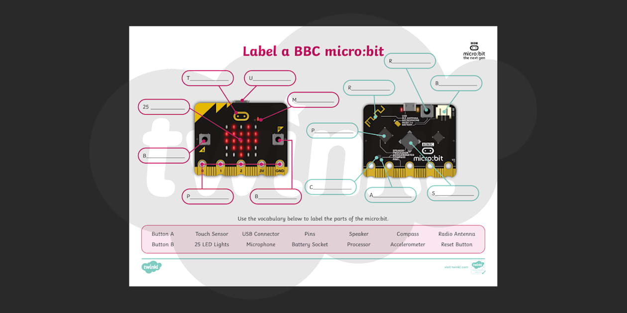 what are computer bugs bbc