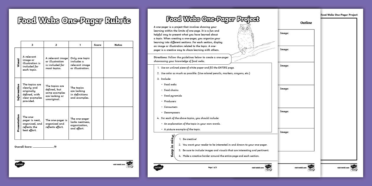Food Webs One-Pager Project for 6th-8th Grade (teacher made)