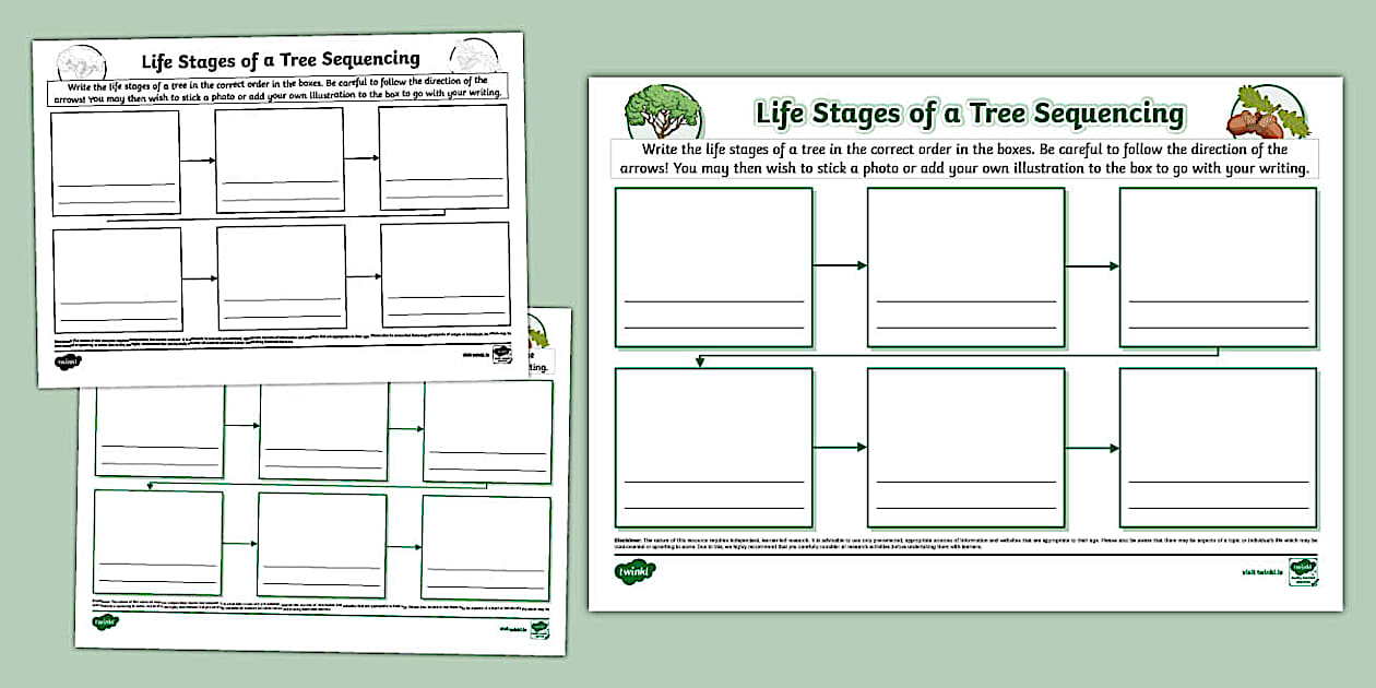 Life Stages of a Tree Sequencing Mind Map (teacher made)