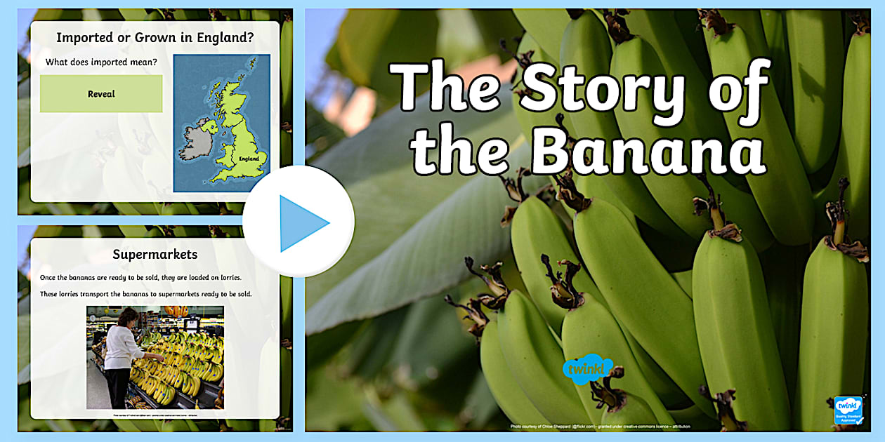 The Story of the Banana PowerPoint (teacher made) - Twinkl