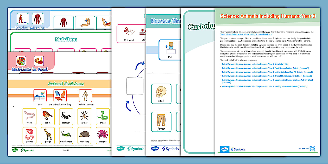 Twinkl Symbols: Science: Animals: Year 3: Complete Pack