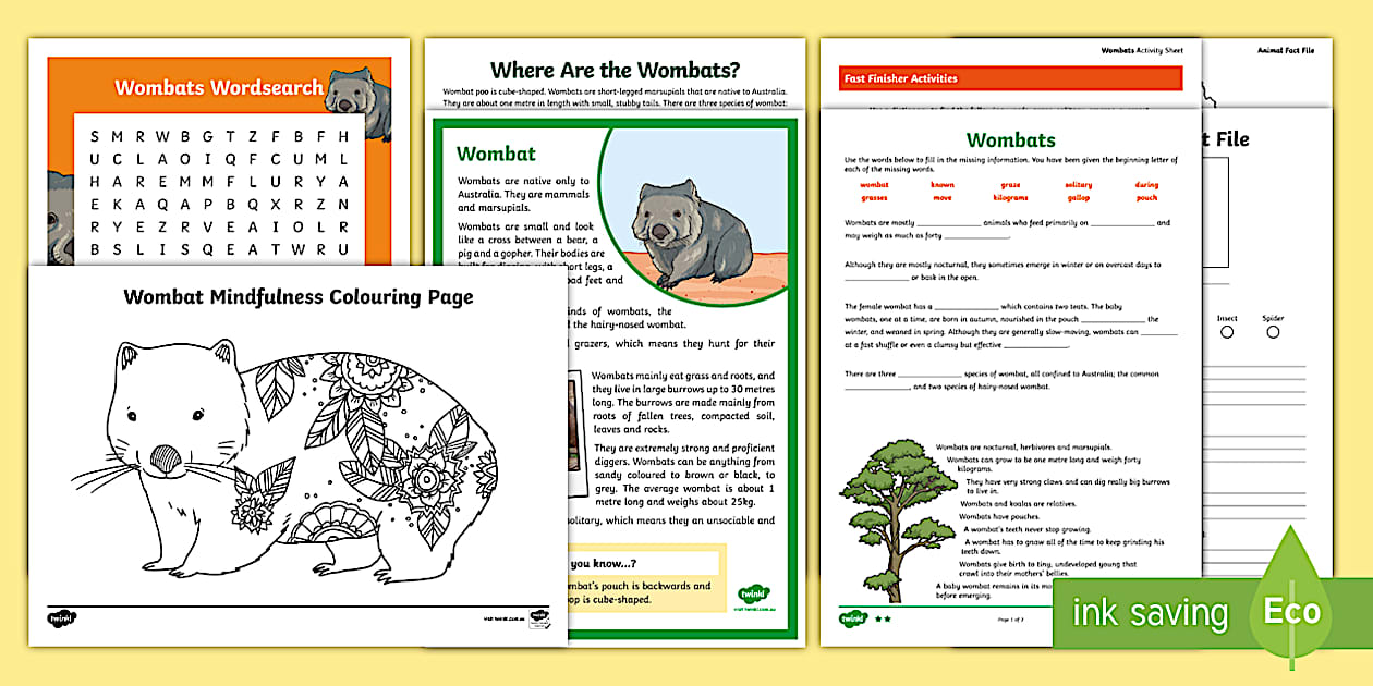 Wombat Resource Pack (Teacher-Made) - Twinkl