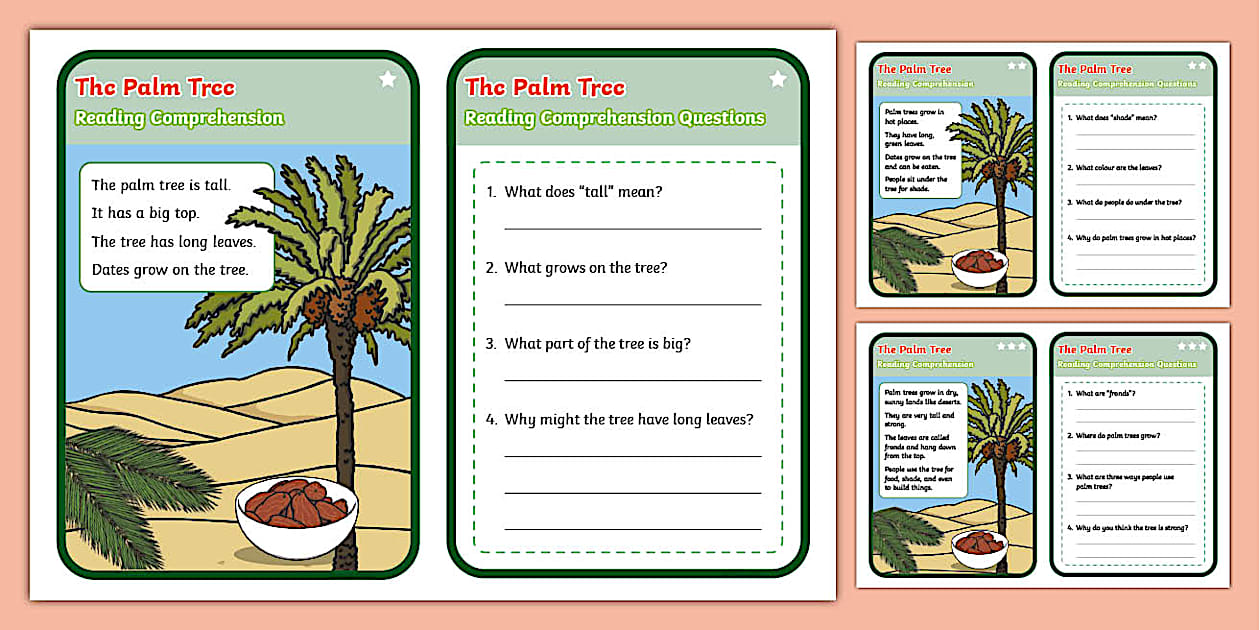 Palm Trees KS1 Reading Comprehension Cards (teacher made)