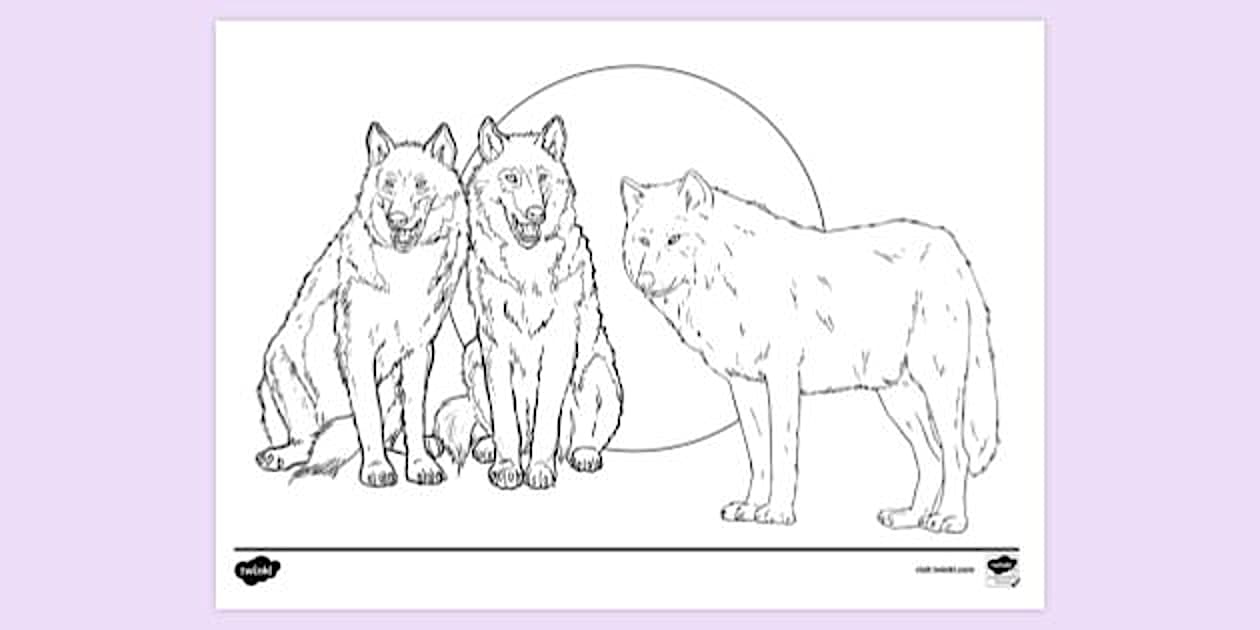 Wolves Colouring Page | Colouring Sheets - Twinkl