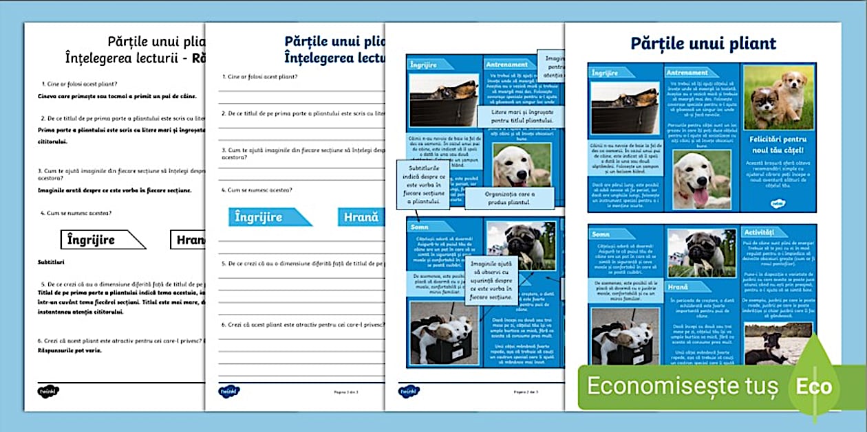 Elementele unui pliant – Activitate de înțelegere a lecturii