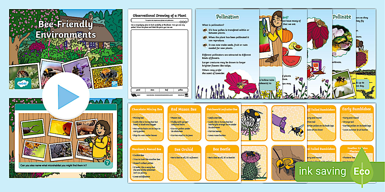 Bee-Friendly Environments Lesson Plan 2: PS2 (teacher made)