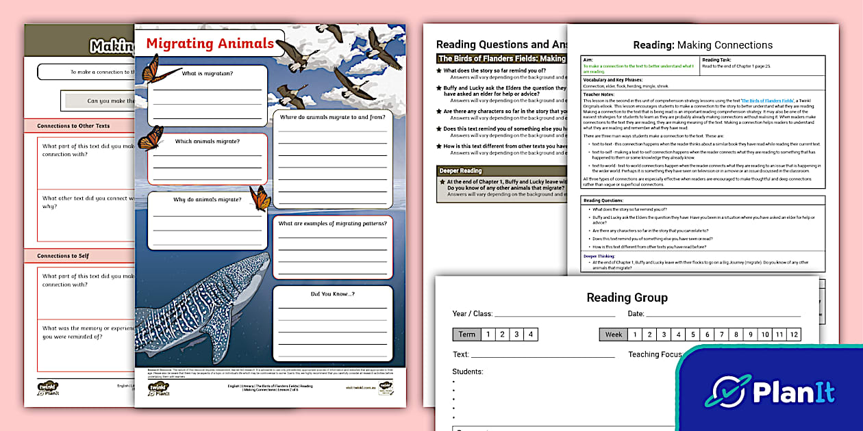 Years 5-6 Reading: The Birds of Flanders Fields Lesson 2