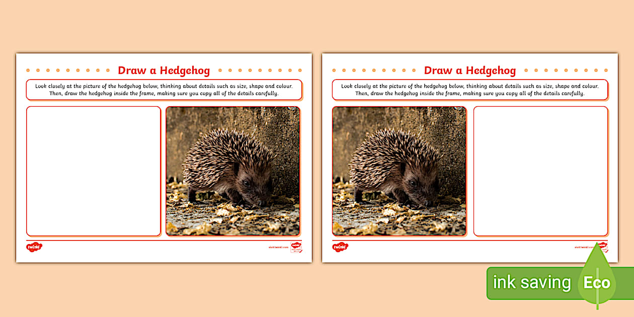 Draw a Hedgehog Art Activity (teacher made) - Twinkl
