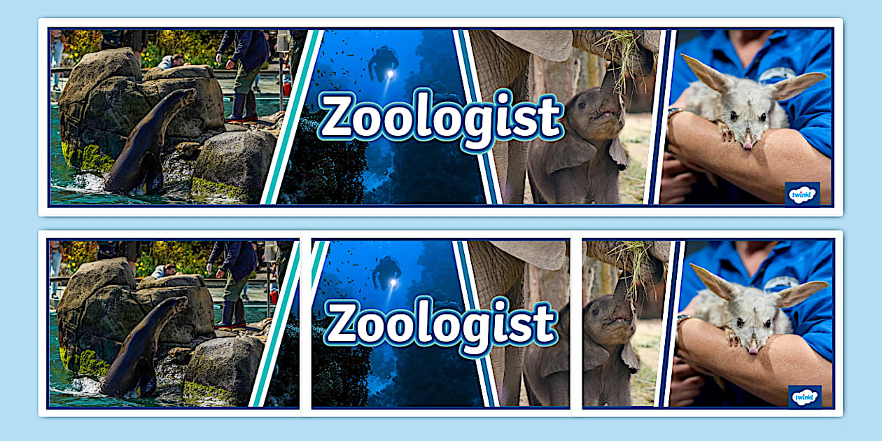 STEM Jobs: Zoologist Display Banner (teacher made) - Twinkl