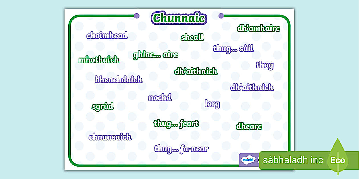 Faclan eile airson chunnaic – Brat-fhacail (teacher made)