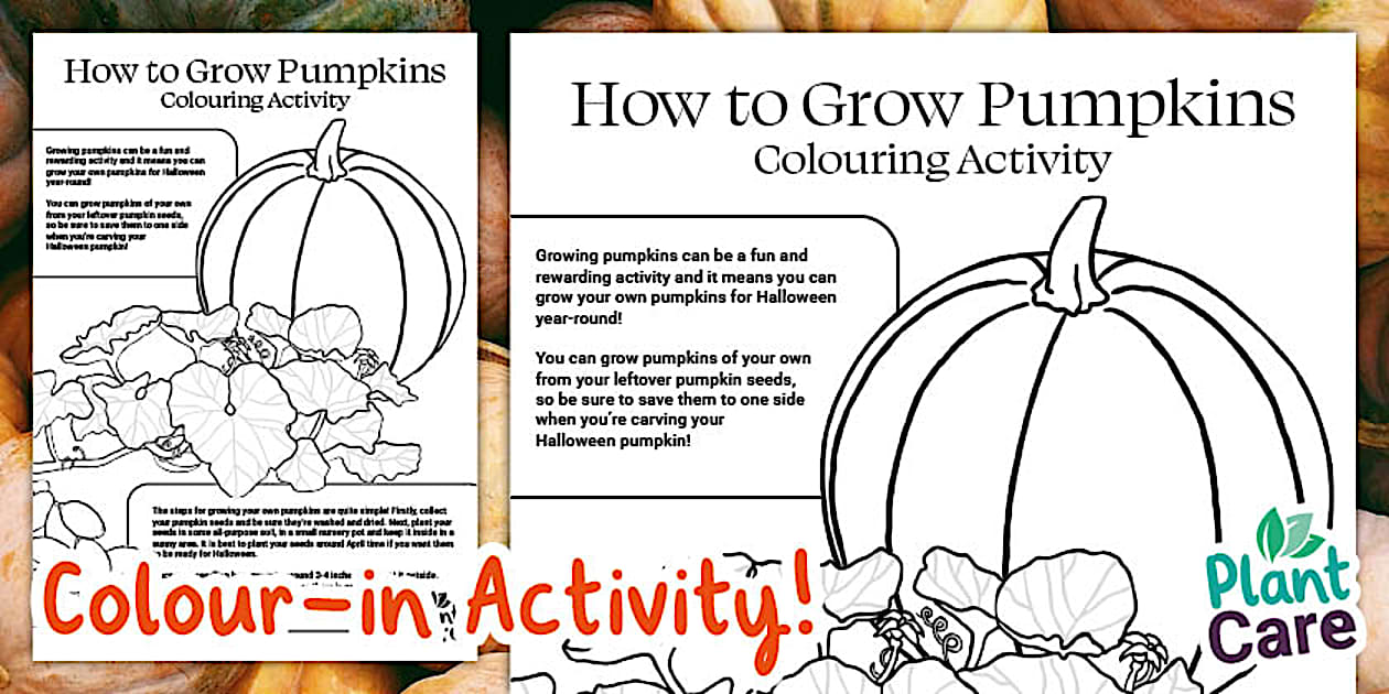 How to Grow Pumpkins Colour-in Activity Sheet - Twinkl