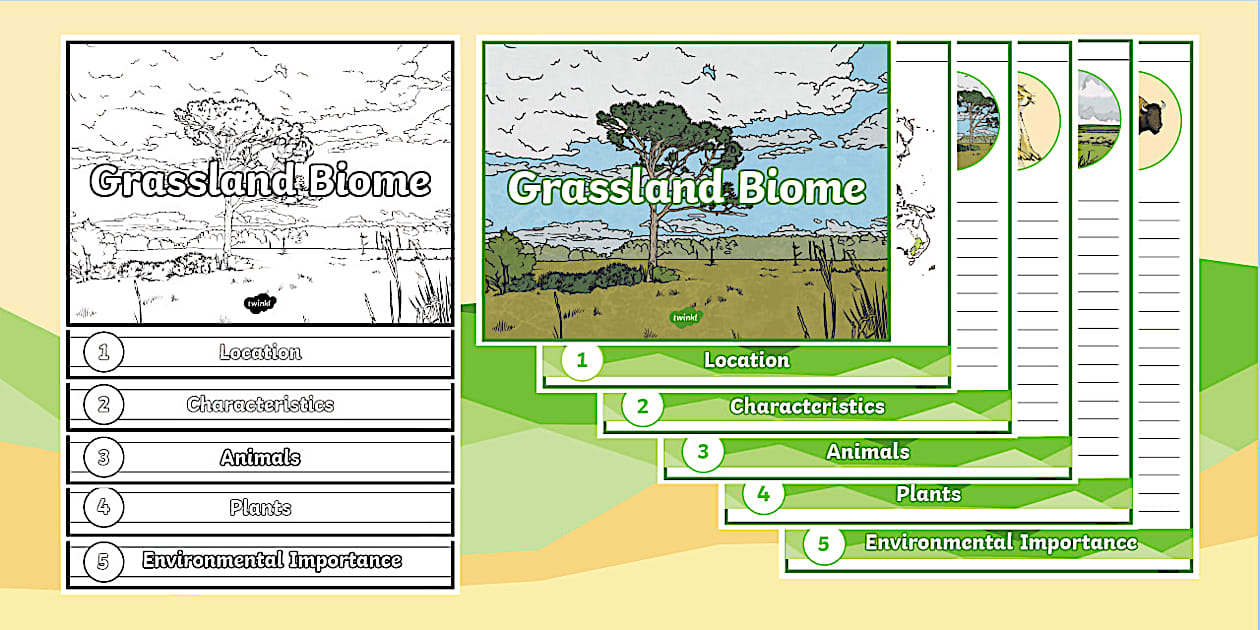 Grassland Biome Flipbook (teacher made) - Twinkl