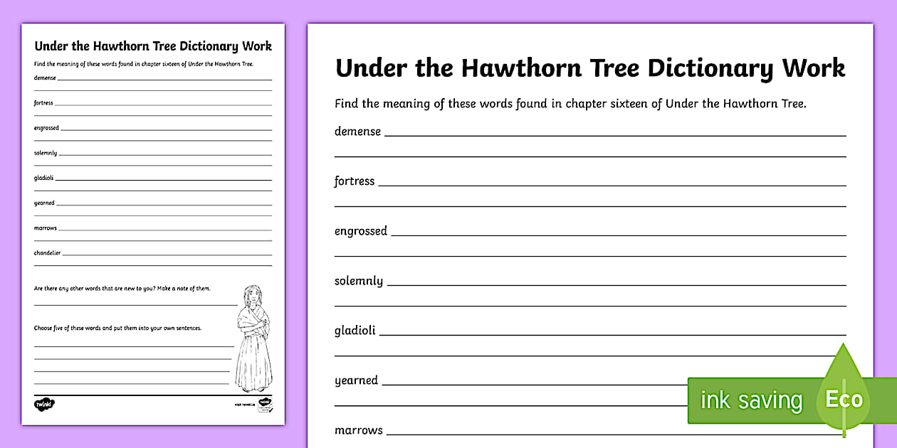 Chapter Sixteen Dictionary Work Worksheet / Worksheet to Support Teaching on