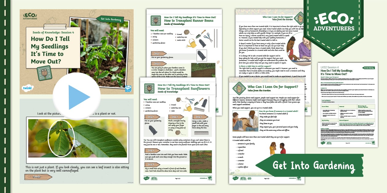 Eco Adventurers: Get Into Gardening Session 4 - Twinkl
