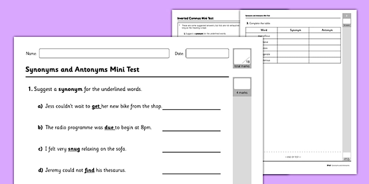 Synonyms and Antonyms Test | Vocabulary Worksheet - Twinkl