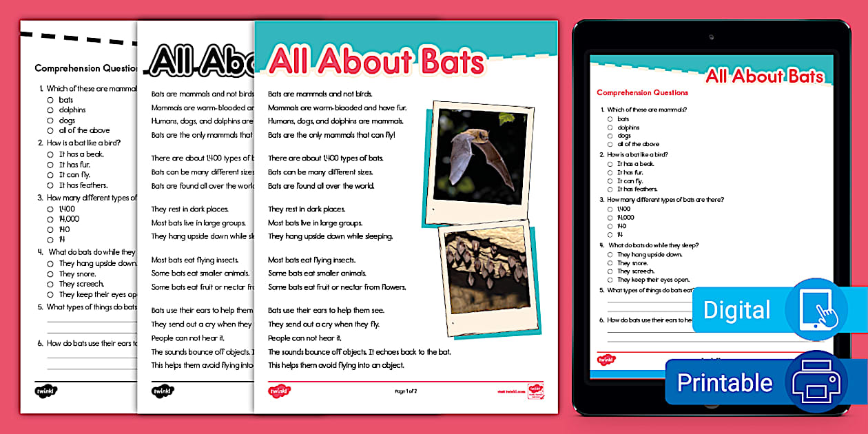 First Grade All About Bats Reading Comprehension Worksheet
