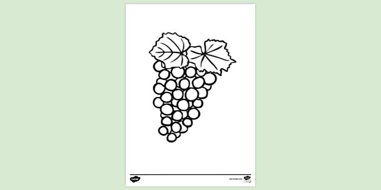 Grape Vine Colouring Sheet - Colouring Sheets (teacher made)