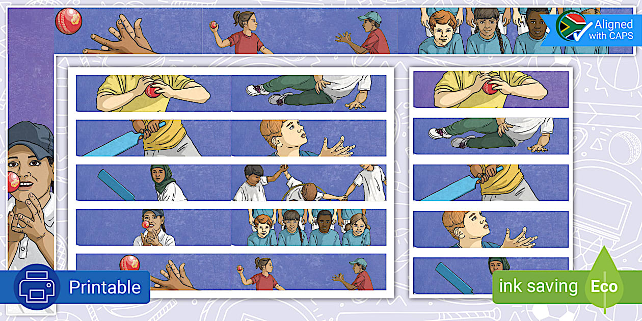 Grade 6 Physical Education Striking Fielding Display Border