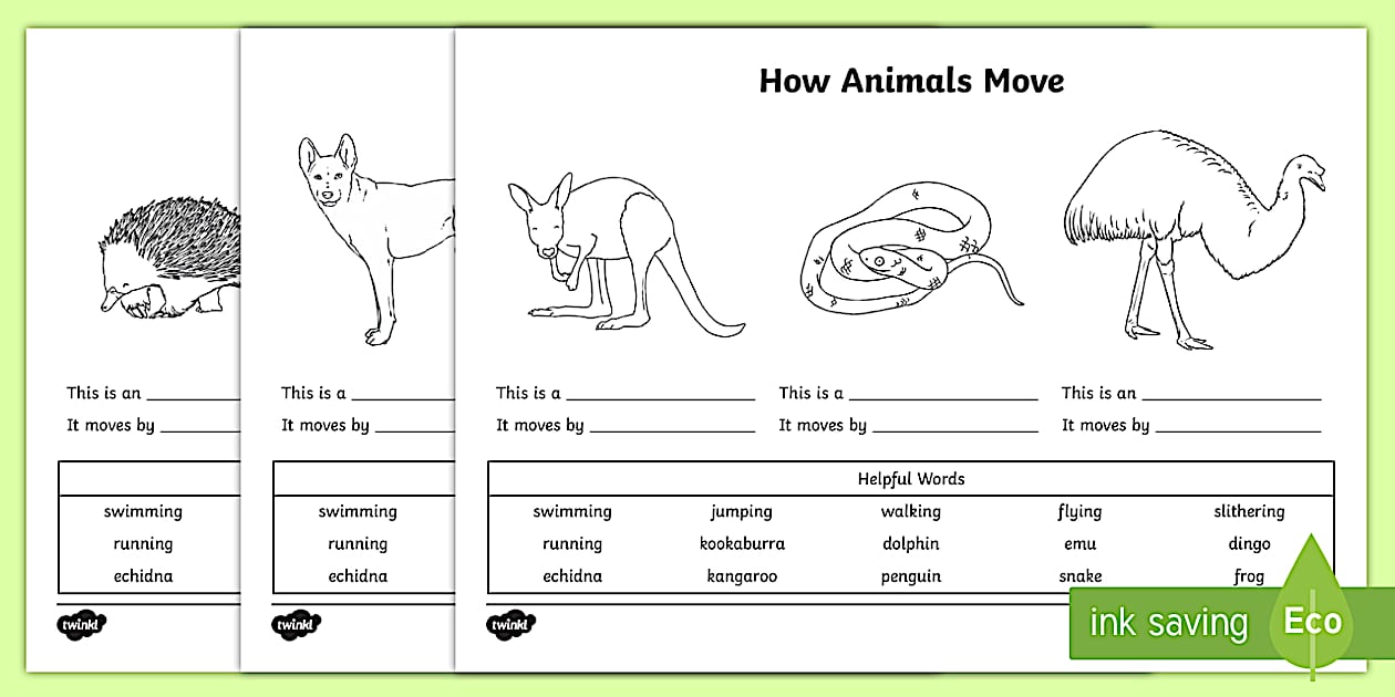 SA How Animals Move Worksheet (professor feito) - Twinkl