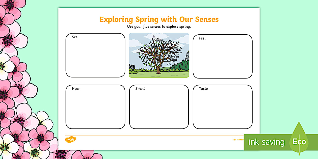Editable Spring Aistear Senses SESE Worksheet (teacher made)