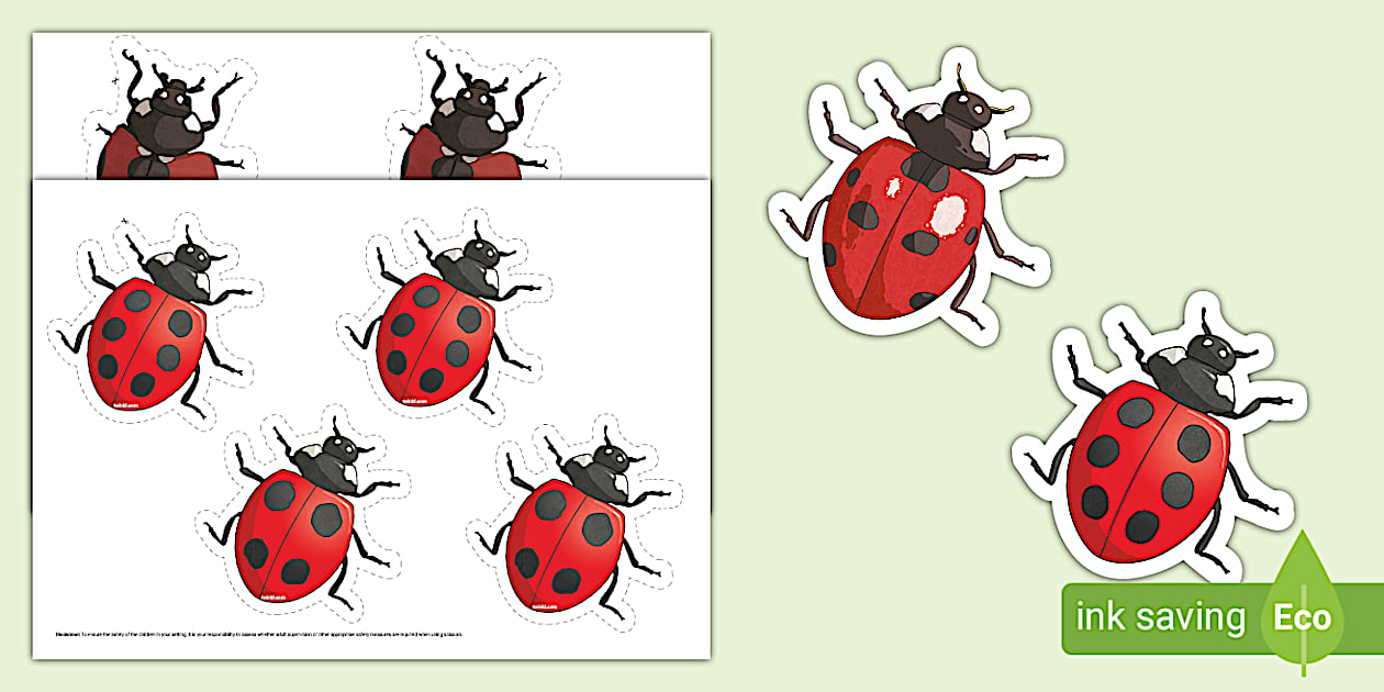 Ladybird Cut-Outs (teacher made) - Twinkl