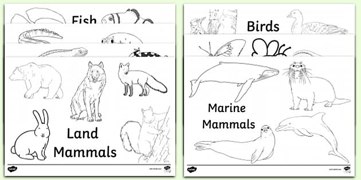 Wildlife Colouring Pages | Colouring Pages - Twinkl