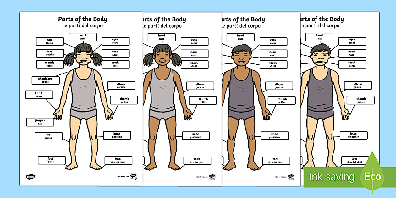 Parts of the Body A4 English/Italian - Parts of the Body (A4)