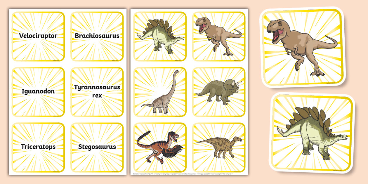 * NEW * Realistic Dinosaurs Matching Mat (teacher made)