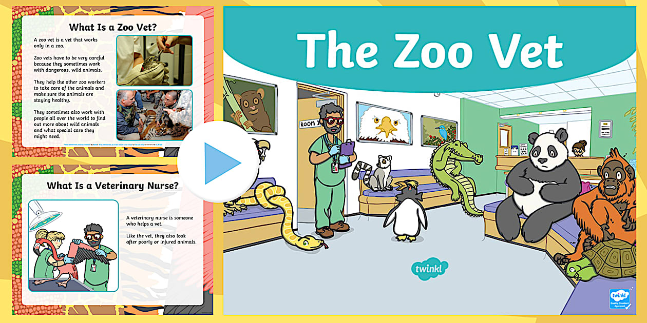 EYFS The Zoo Vet Information PowerPoint (teacher made)