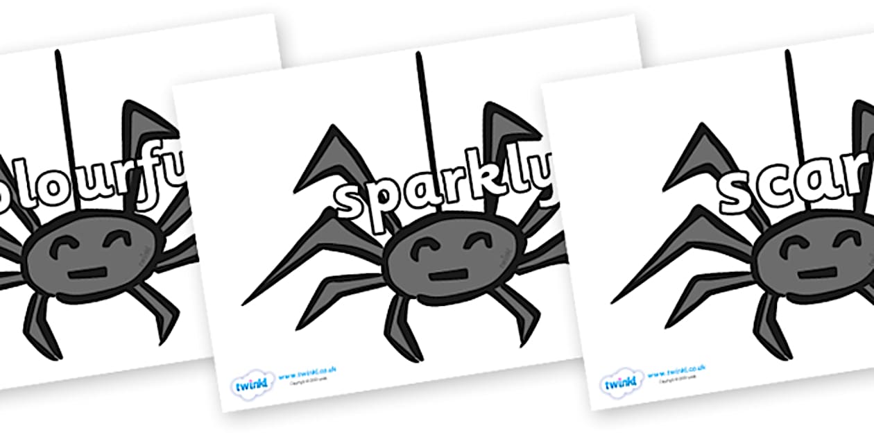 Wow Words on Spiders (teacher made) - Twinkl