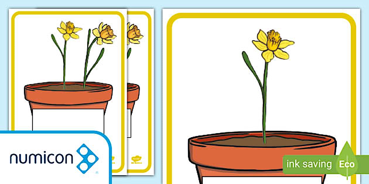 1-20 Spring-themed Numicon Flowers Count and Match Activity