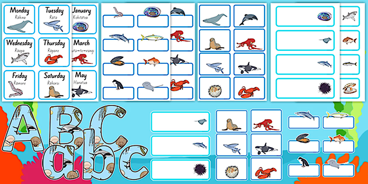 Back to School Under the Sea Resource Pack