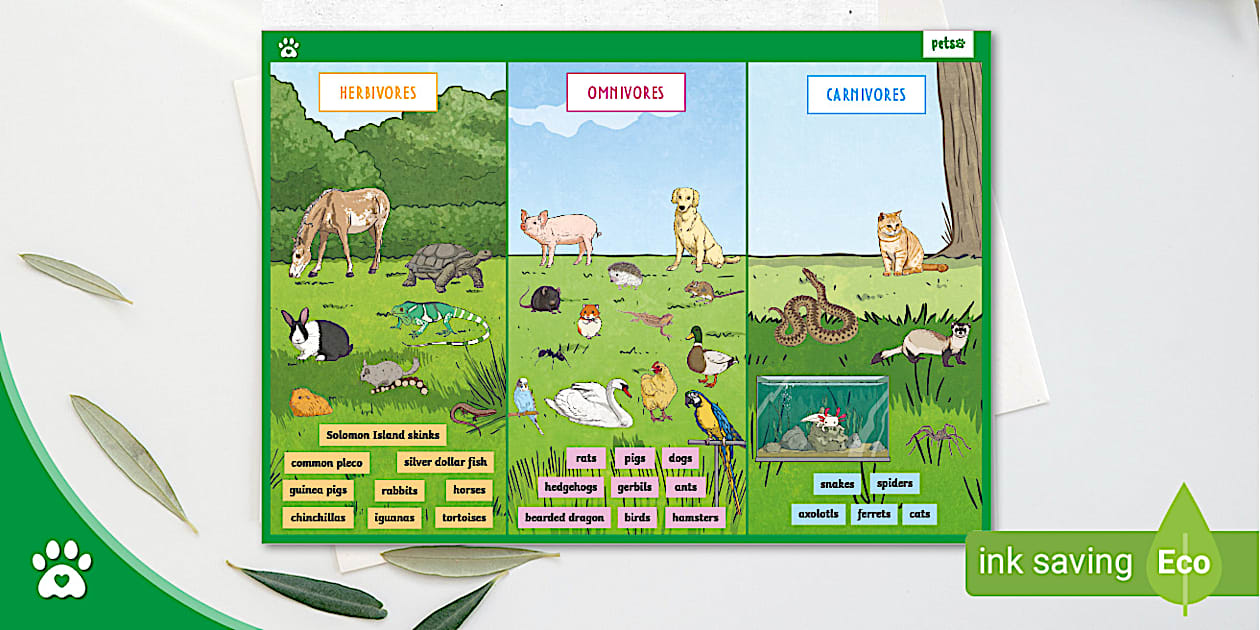 Herbivorous, Omnivorous, and Carnivorous Pets Poster - Pets