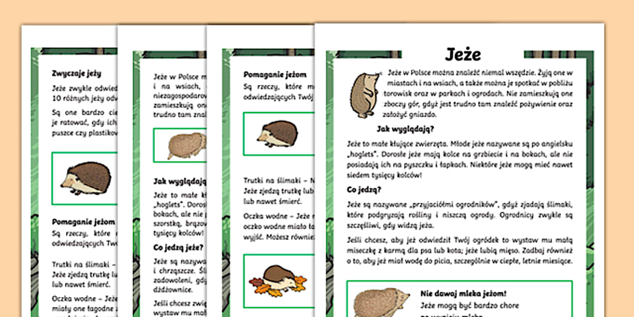 Fakty o jeżach | Czytanie ze zrozumieniem (teacher made)