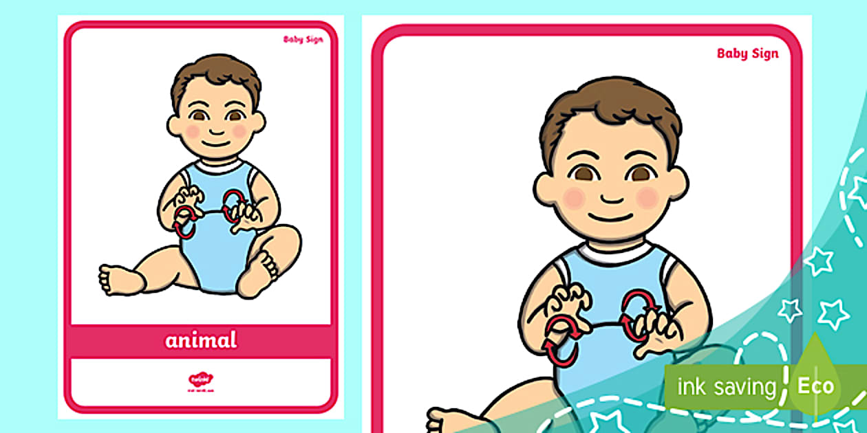 Baby Sign Poster: Animal (teacher made) - Twinkl