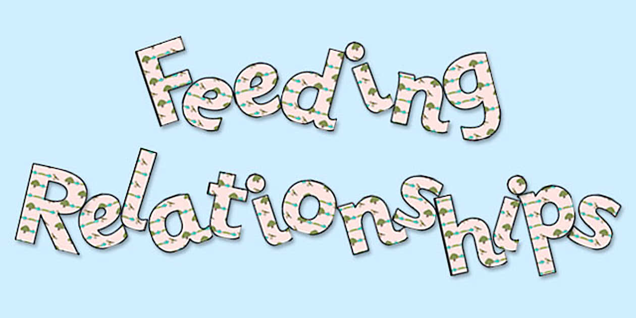 'Feeding Relationships' Display Lettering - Twinkl