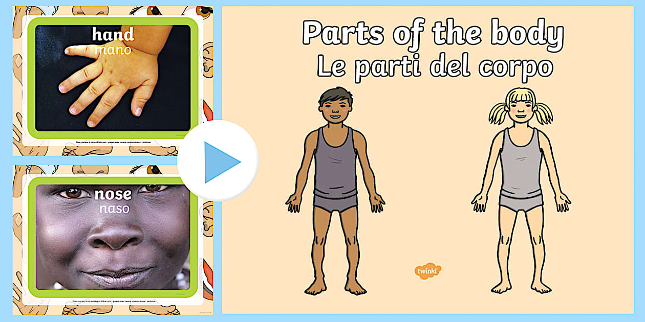 Parts of the Body PowerPoint English/Italian - Parts of the Body PowerPoint