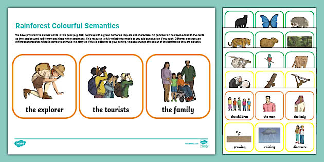 Rainforest Colourful Semantics (teacher made) - Twinkl