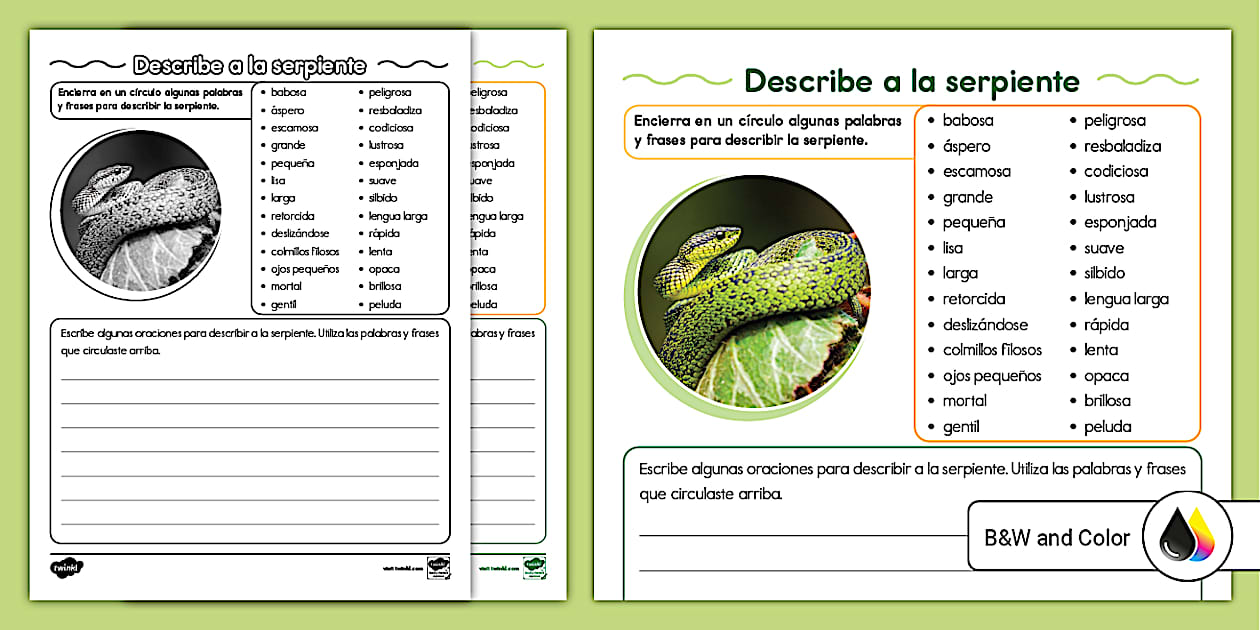 Actividad de escritura: Describe a la serpiente - Twinkl