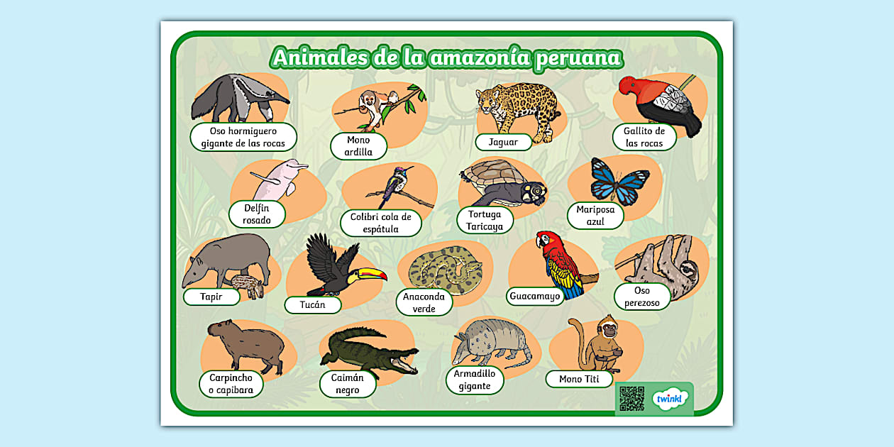 Afiche: Animales de la selva (Perú) (Hecho por educadores)