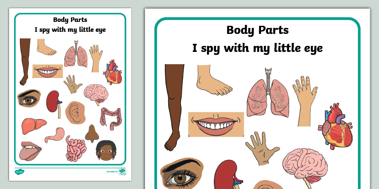 Body Parts I Spy | Body Parts Game/Activity (teacher made)