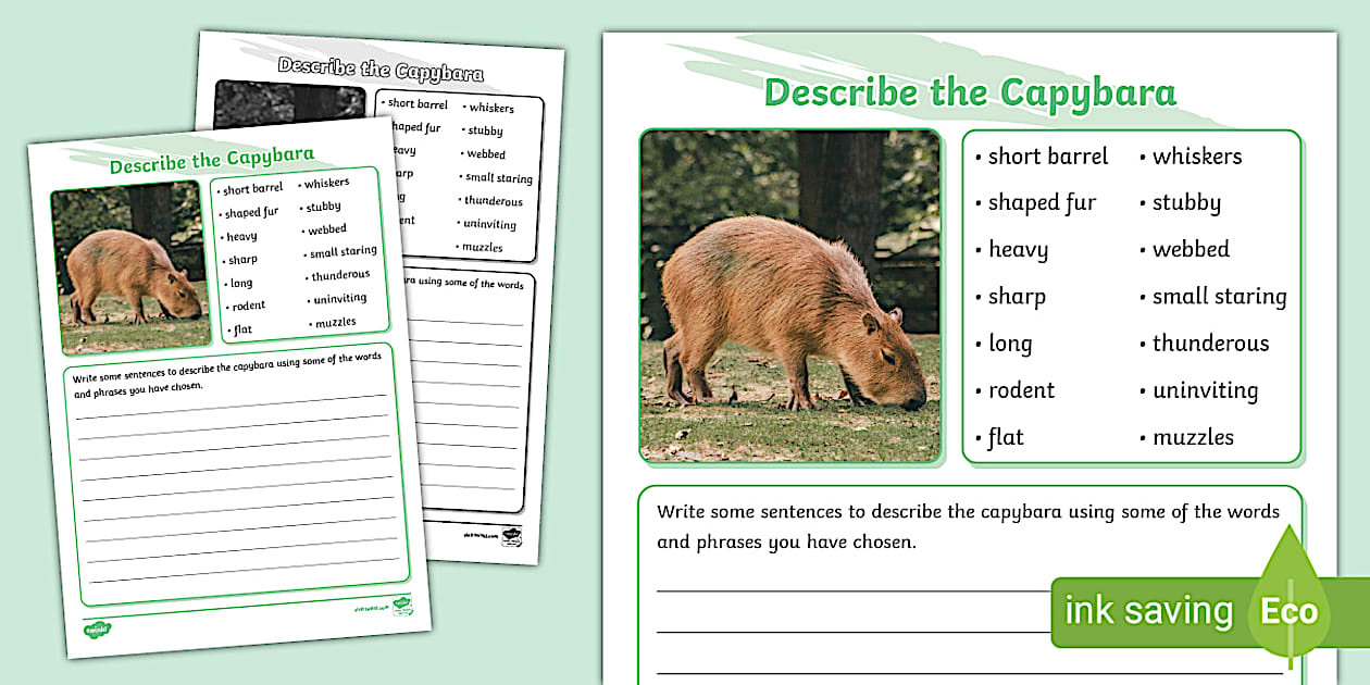 Describe the Capybara Writing Worksheet (teacher made)