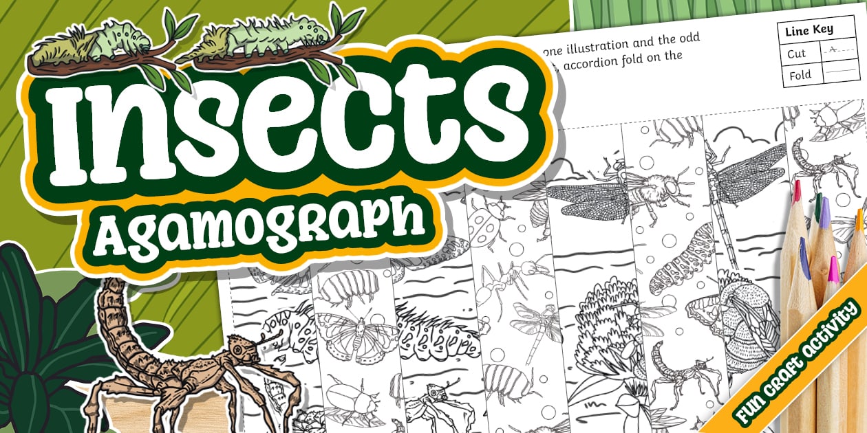 Foundation Phase Life Skills - Insects - Agamograph (CAPS Aligned)