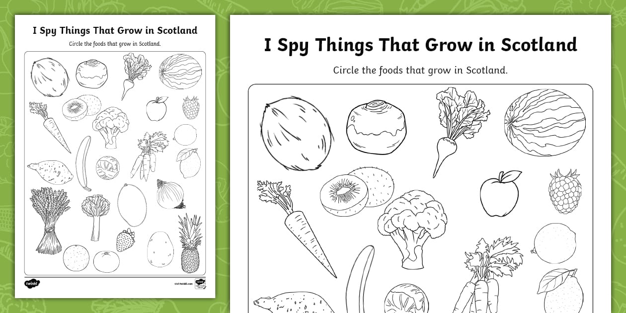 I Spy Things That Grow in Scotland Activity Sheet - Twinkl
