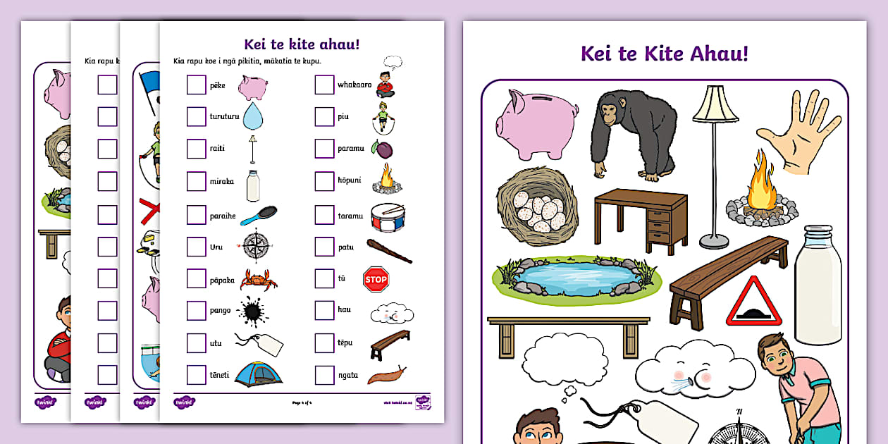 Kei te Kite Ahau! (Hecho por educadores) - Twinkl