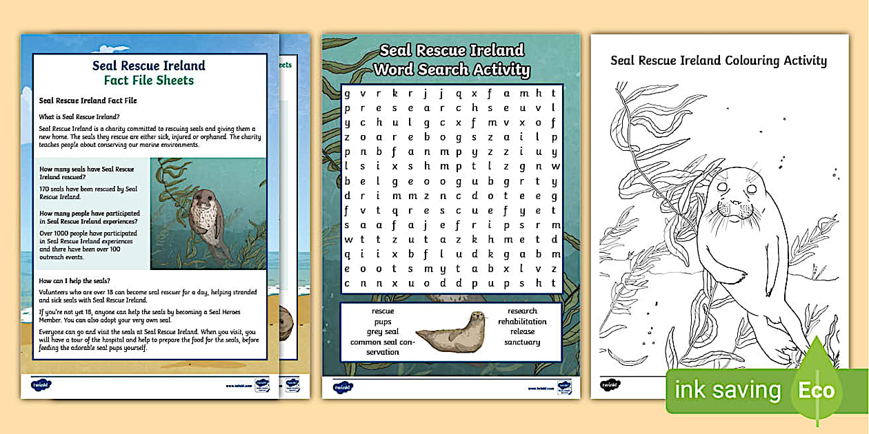 Seal Rescue Ireland Activity Pack | Twinkl (teacher made)