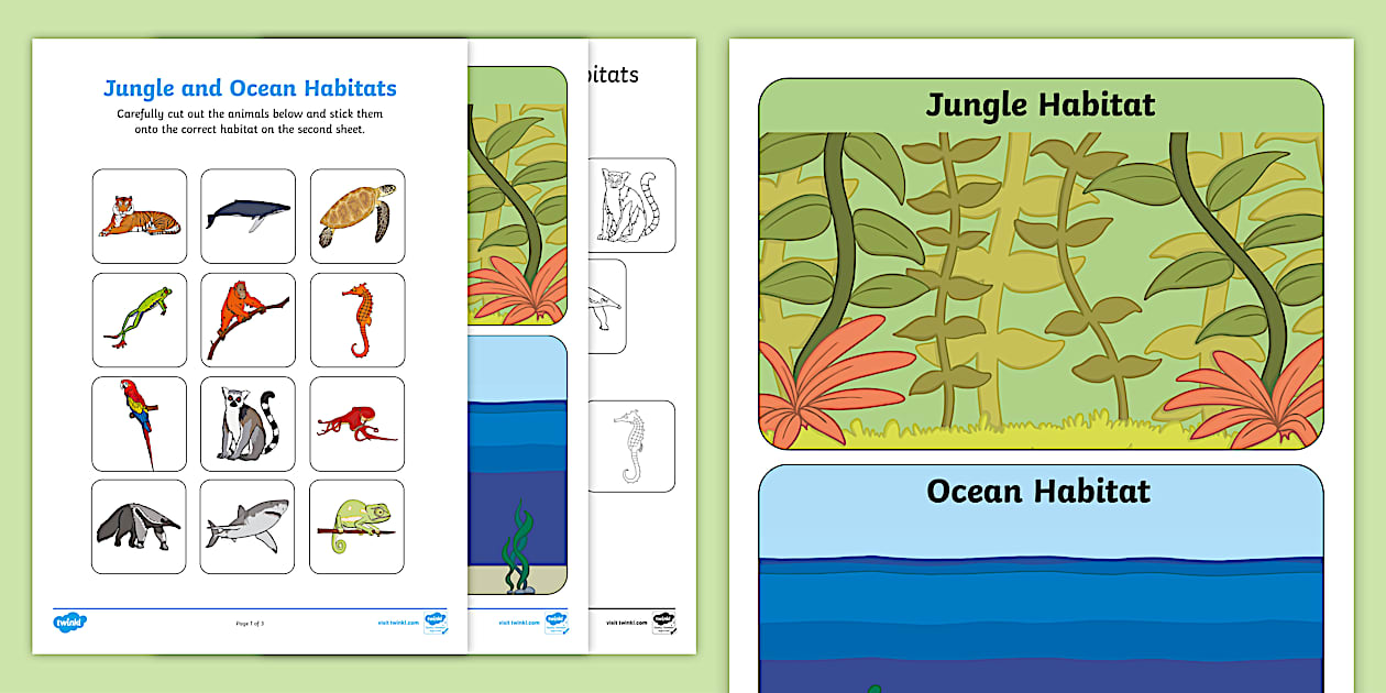 Jungle and Ocean Habitats Animal Sorting Activity Sheet